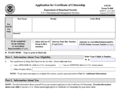 Form N-600, Explained - Boundless