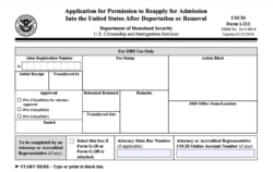 Form I-212, Explained