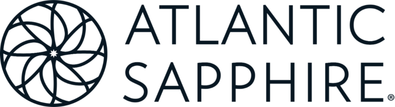 Boundless: A Modern Immigration Company