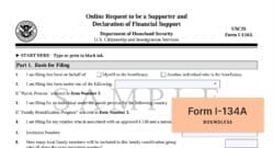 Form I-134A, Explained - Financial Sponsorship